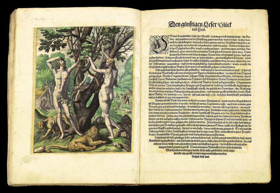 Daniel Crouch Rare Books - Antique and Vintage Maps, Rare Books, Charts ...